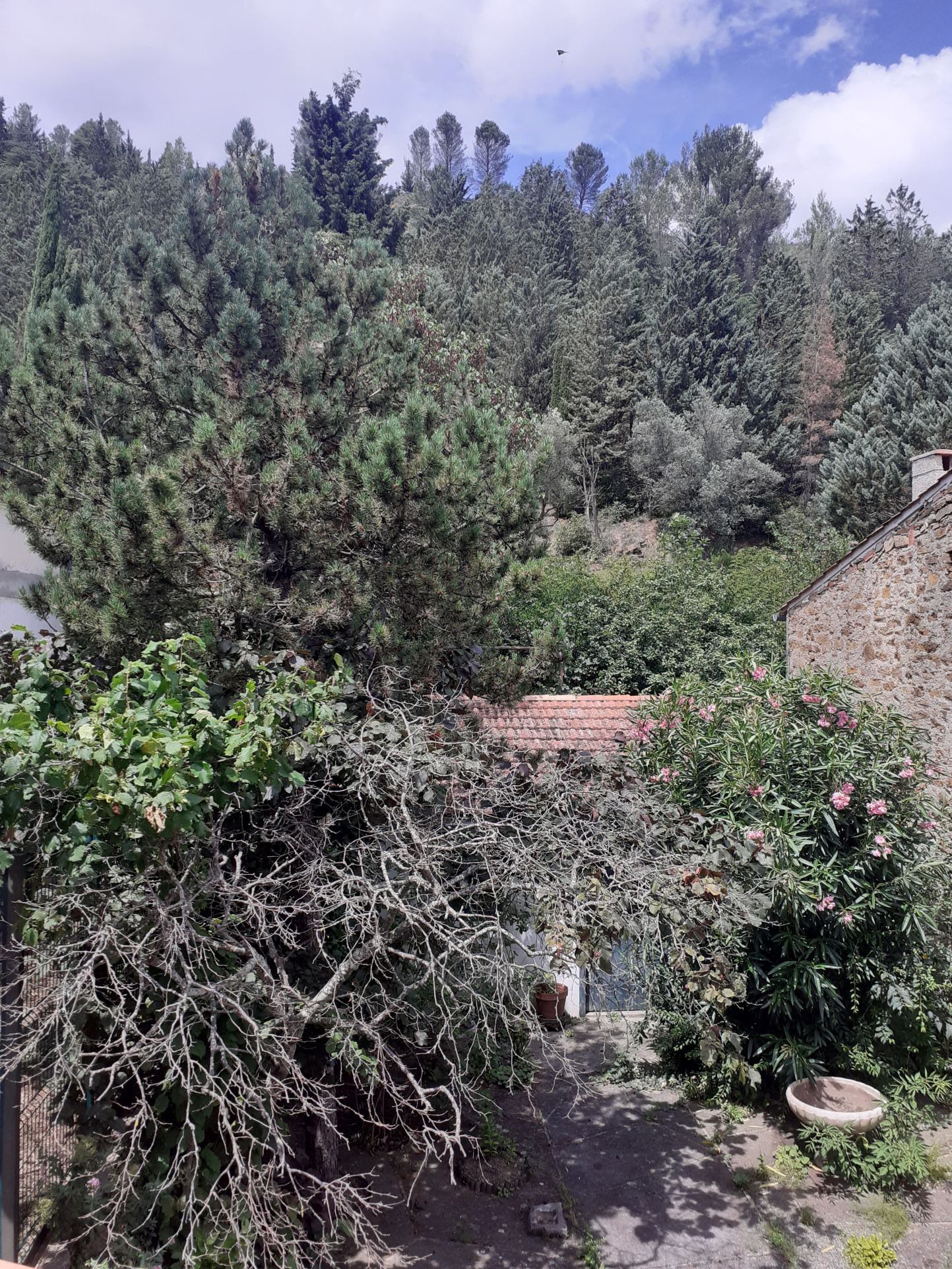 Vente maison Montazels 5 pièces 134m² 181900€ | Bac immobilier